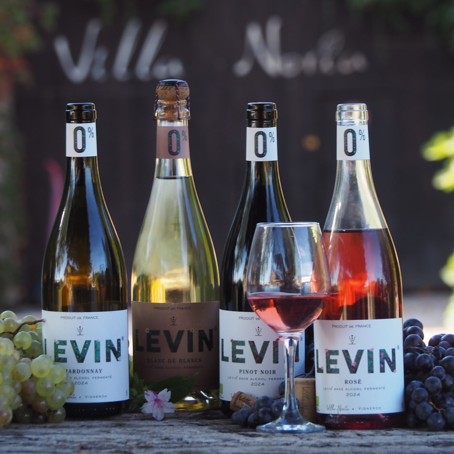 LEVIN, la première boisson sans alcool fermentée